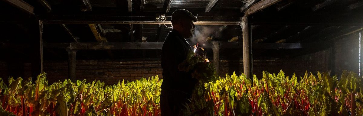 Off The Wall Ensemble & Charles Smith – Luton Music